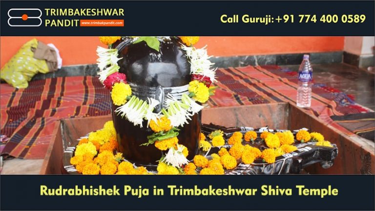 Rudra abhishek Puja in Trimbakeshwar | Trimbak Pandit